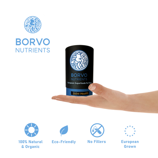 Borvo Nutrients | Joint Health for Dogs