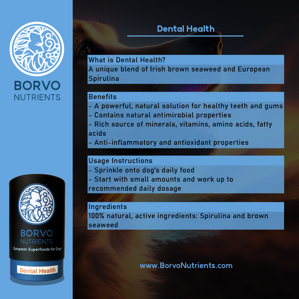 Borvo Nutrients | Dental Health for Dogs